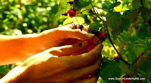 Watch Dragonflies Outdoor Lake Sex Milf Porn Spankbang
